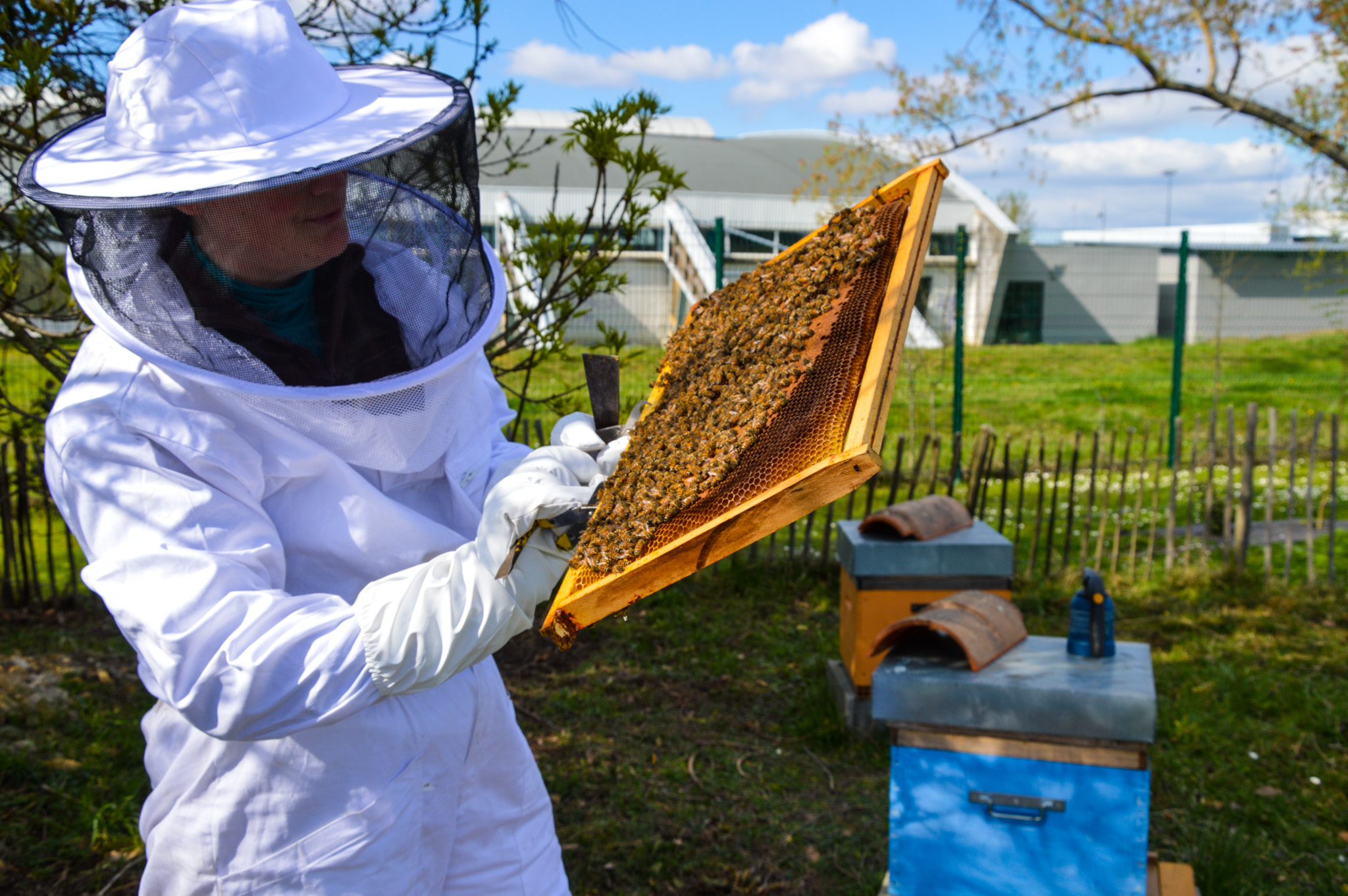 RETOUR SUR LA SEMAINE VERTE AU CREPS - CREPS Bordeaux