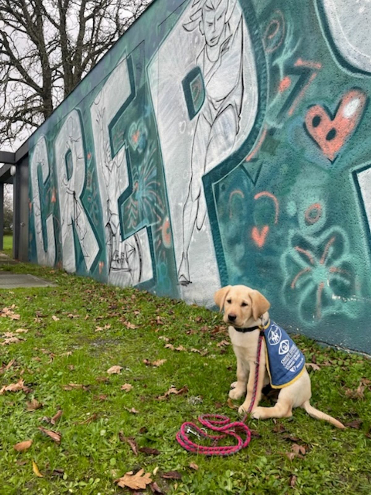 CREPS DE BORDEAUX WELCOMES A FUTURE GUIDE DOG - CREPS Bordeaux